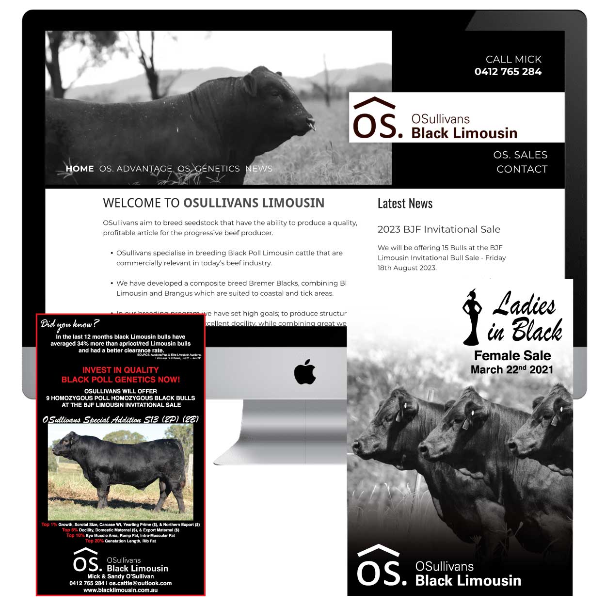 Livestock Photography | Design | Marketing - Practical Consulting